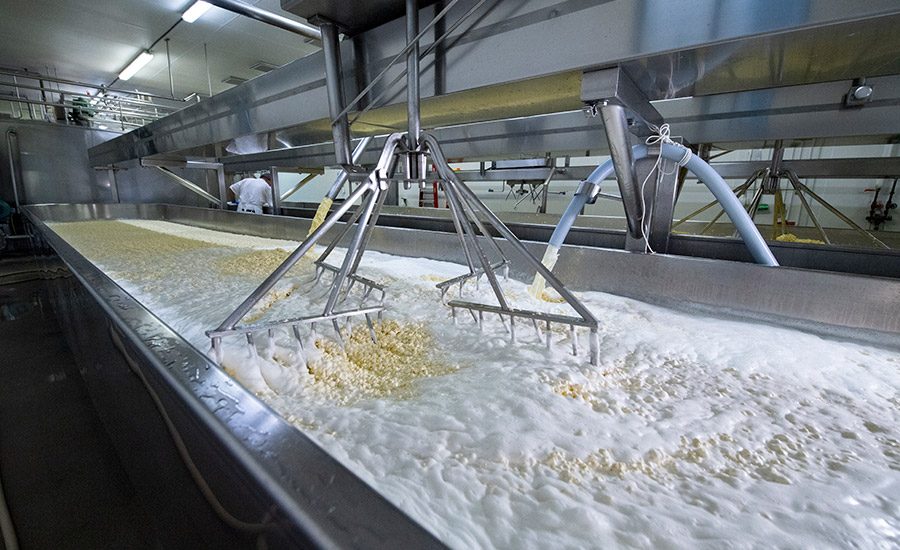 Rumiano Cheese Co., Crescent City, Calif. | Dairy Foods