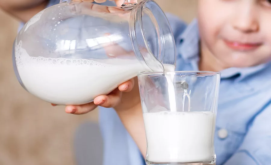 Why the Whole Milk for Healthy Kids Act is so important | Dairy Foods